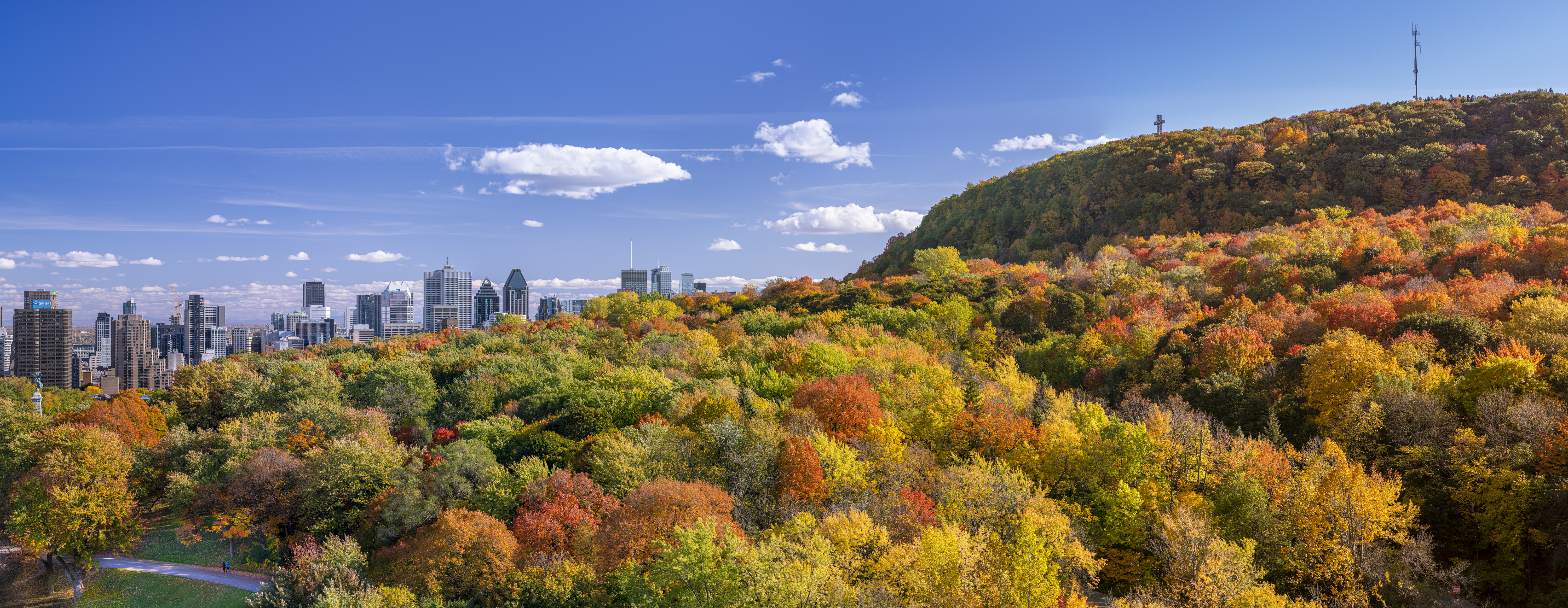 Detailed Programme - GEO BON Global Conference: Monitoring Biodiversity ...