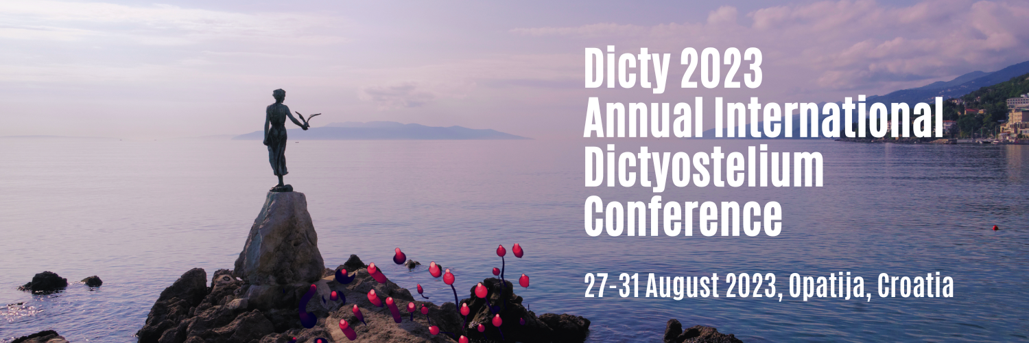 Location and travel - Dicty 2023